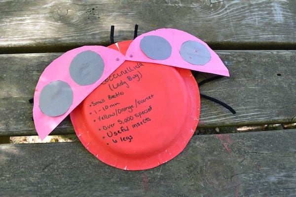 DIY Ladybug Craft For Toddlers