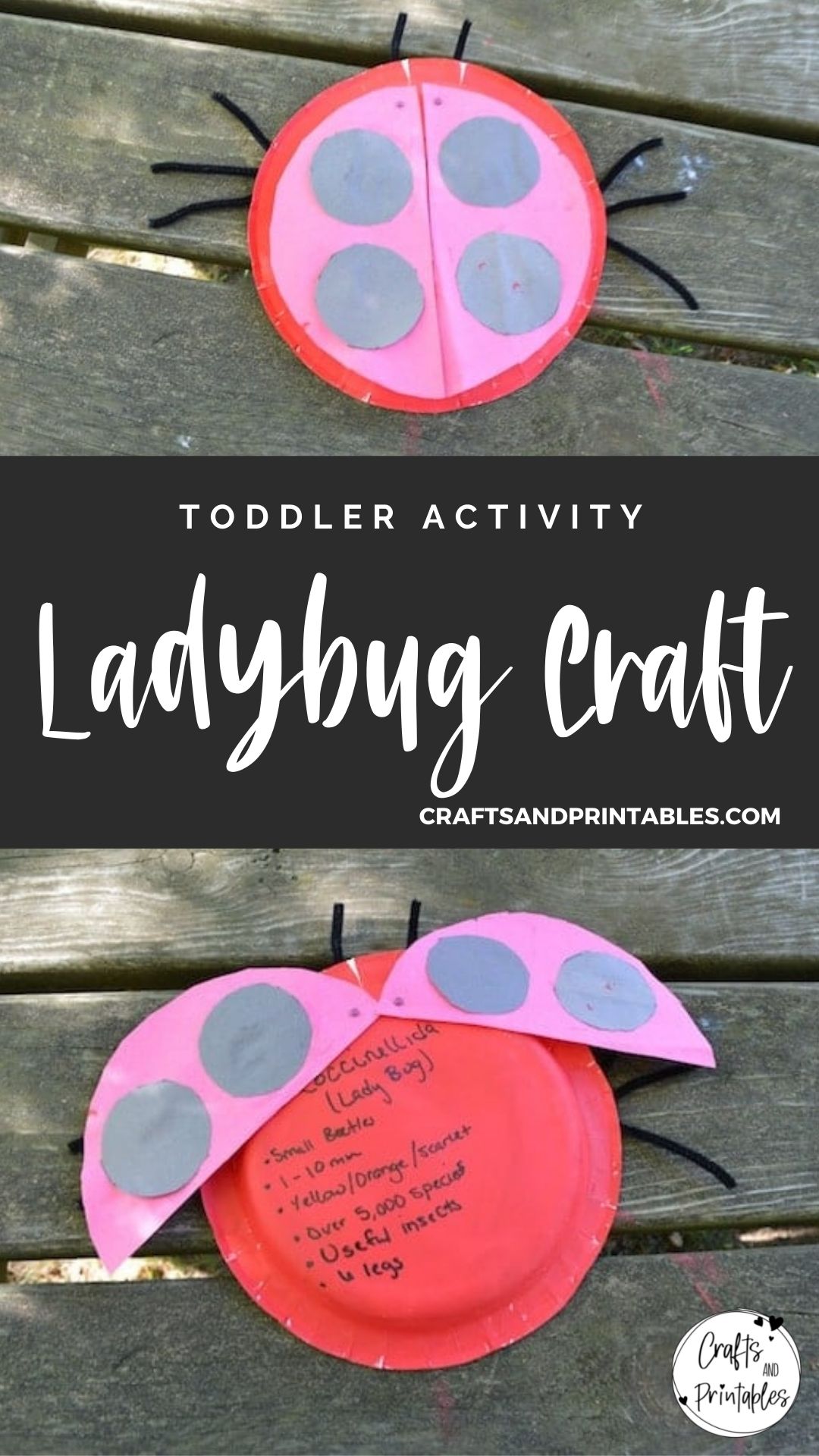 DIY Ladybug Craft For Toddlers